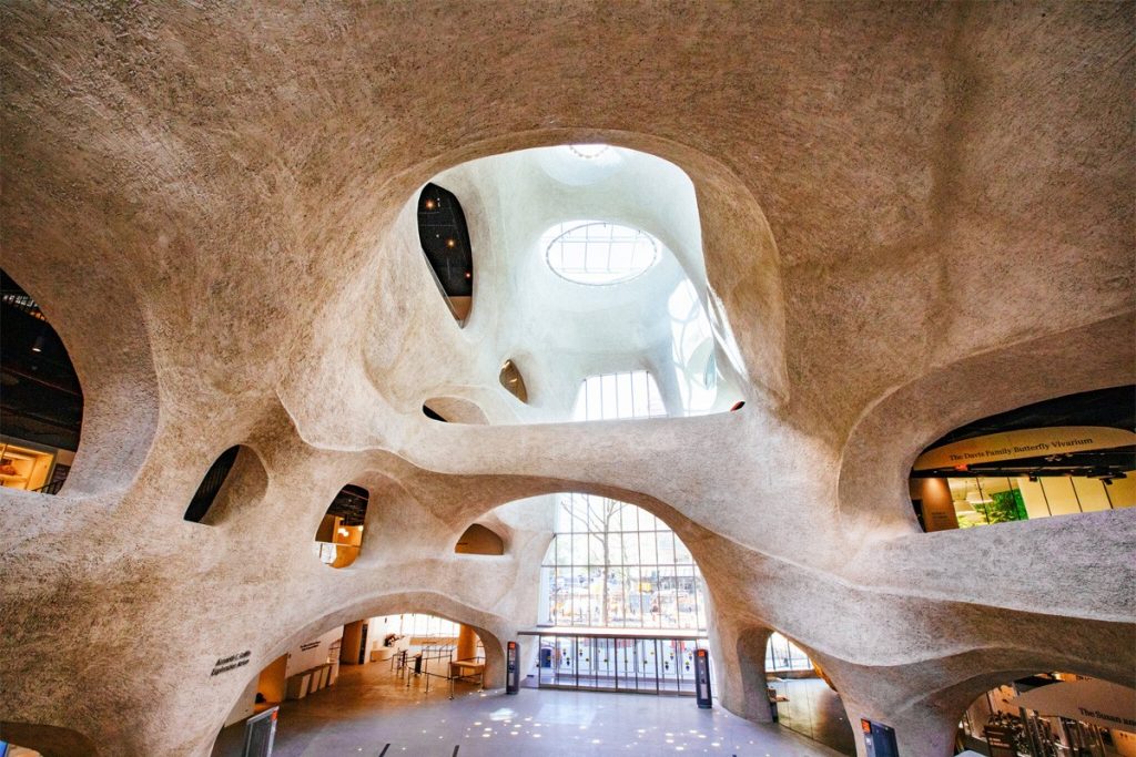 Architecture: Designing Functional Spaces That Reflect Culture and ...
